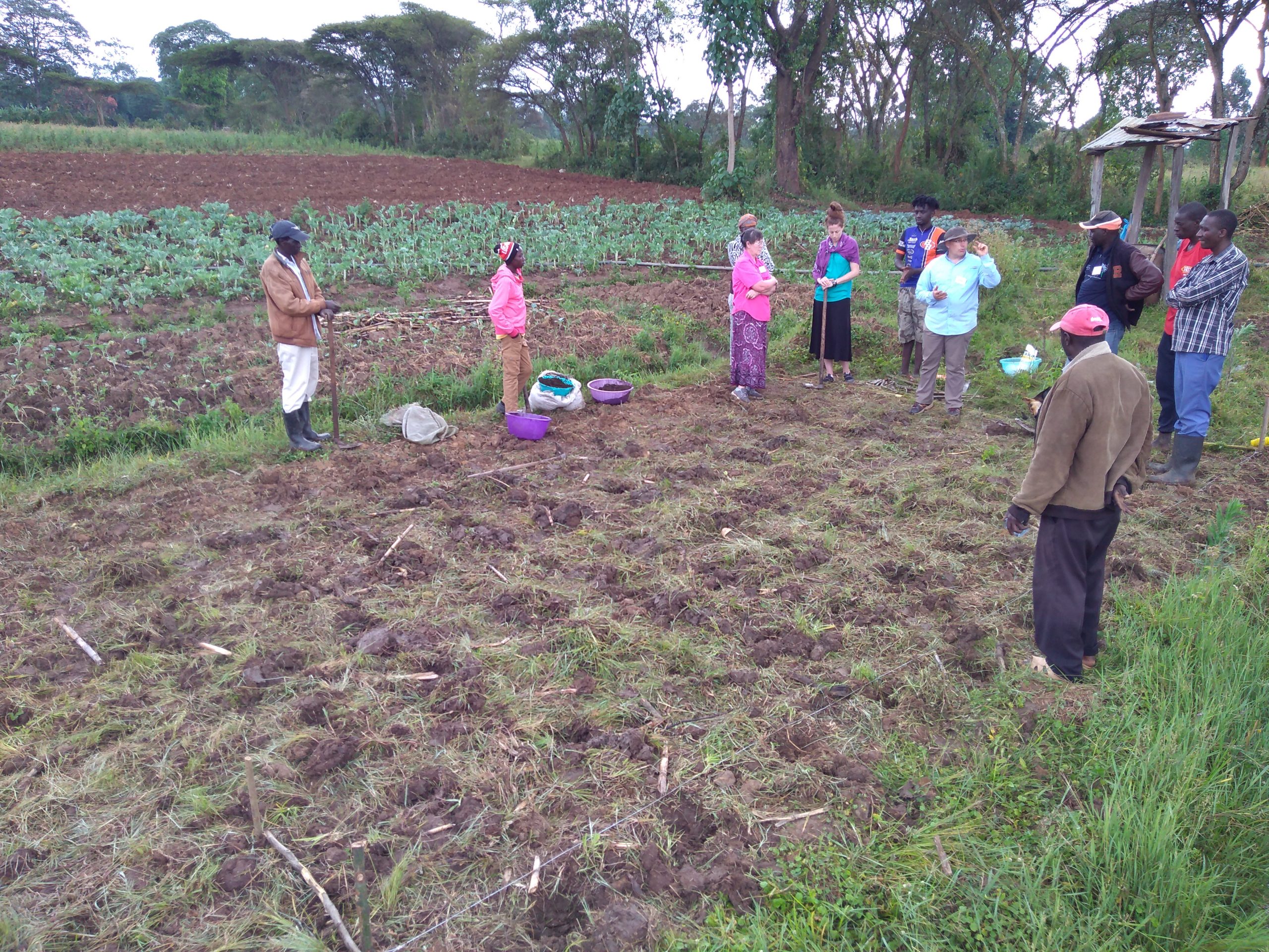 A Harvest That Will Last - ITEC | Develop | Train | Equip