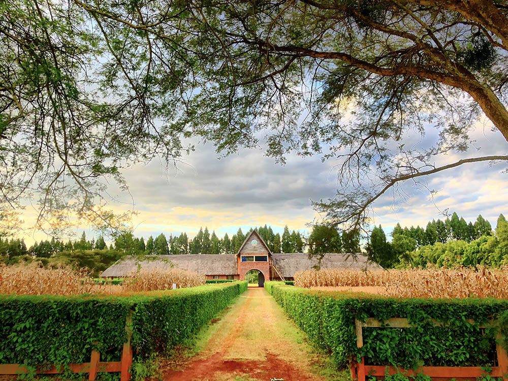 Is Farming Next? - ITEC | Develop | Train | Equip