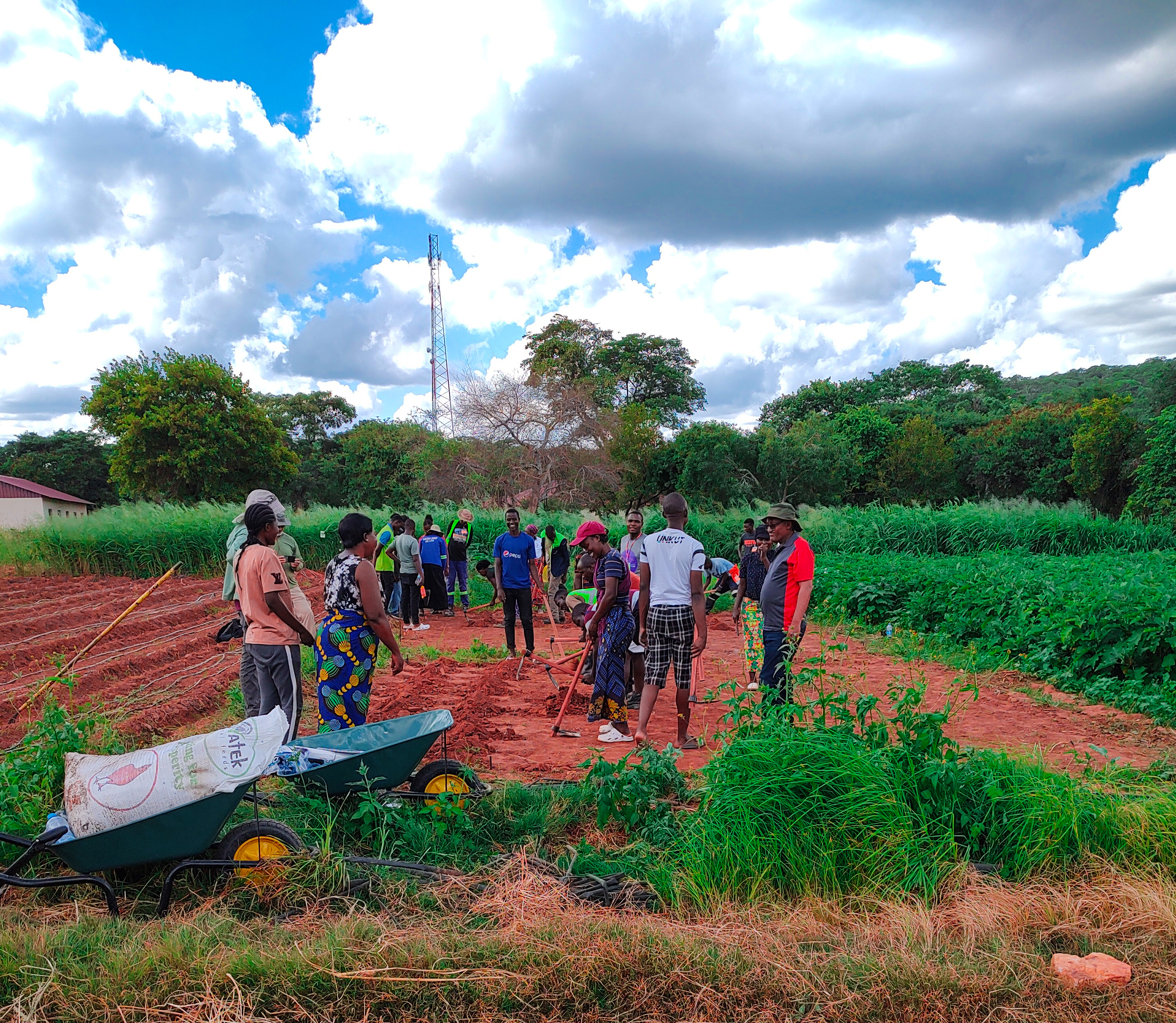 Trainee to Trainer: Farm Training in Southern Africa - ITEC | Develop ...